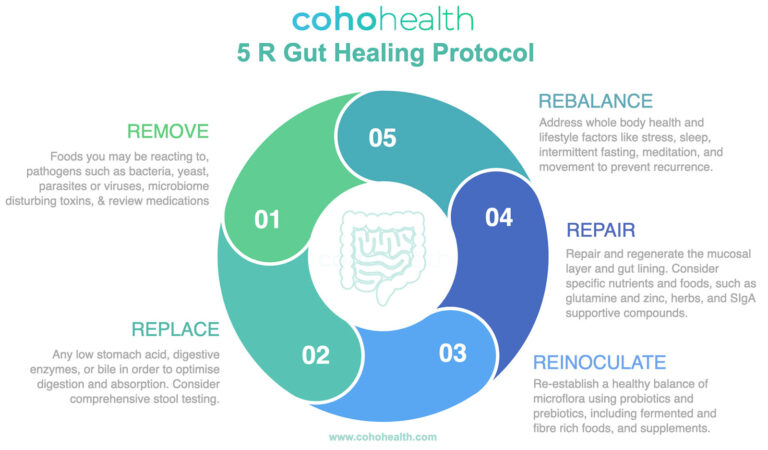 The 5 R Gut Healing Protocol | Coho Health