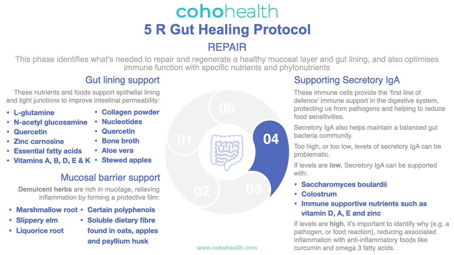 The 5 R Gut Healing Protocol | Coho Health